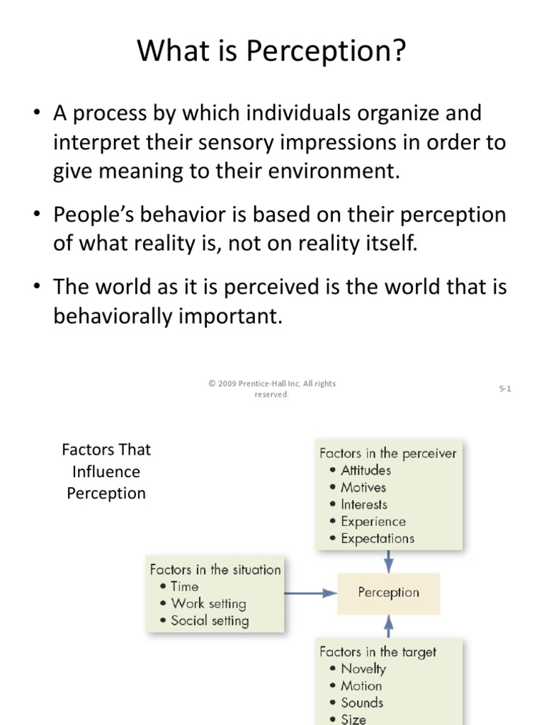 Perception | PDF | Perception | Nervous System