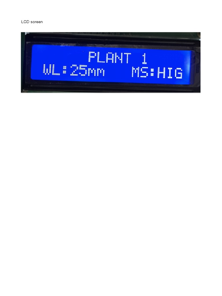 LCD Screen | PDF