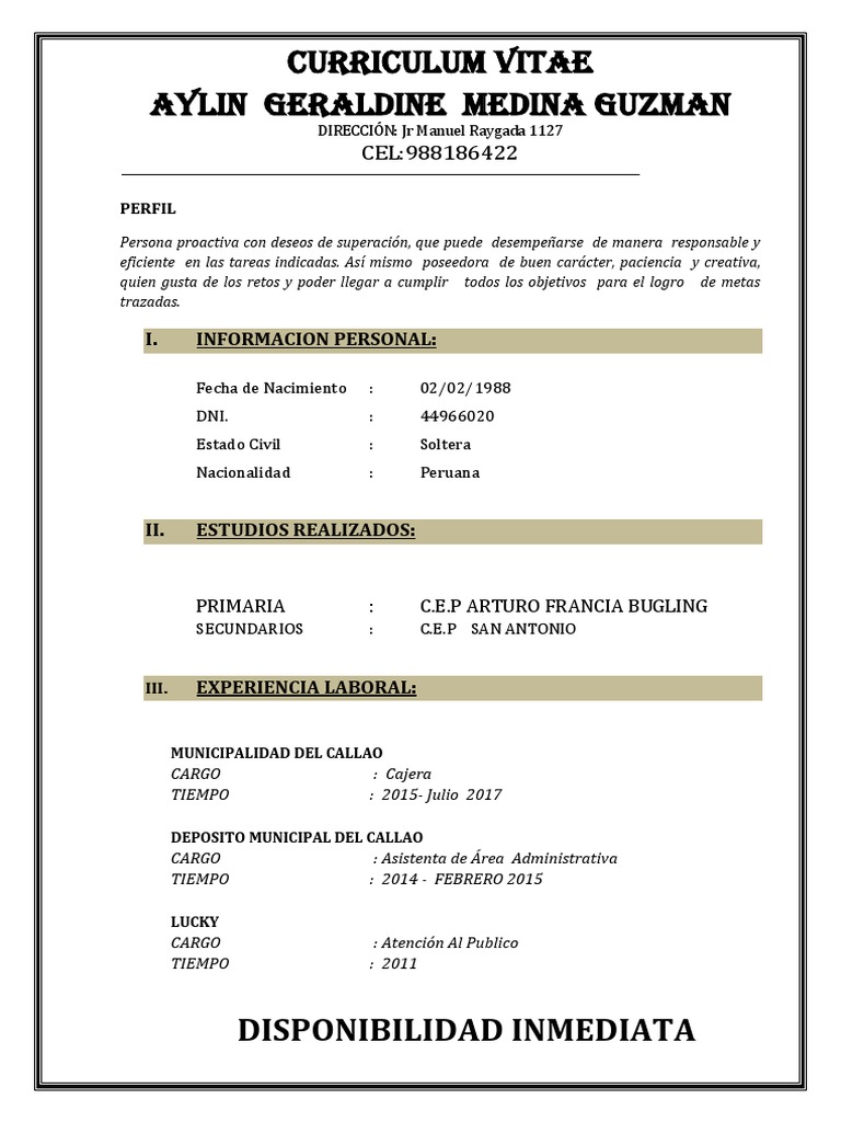 Curriculum Aylin Medina | PDF