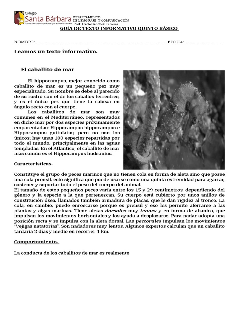 Guia de AP Comprension Lectora Quinto Basico 9 | Descargar gratis PDF ...