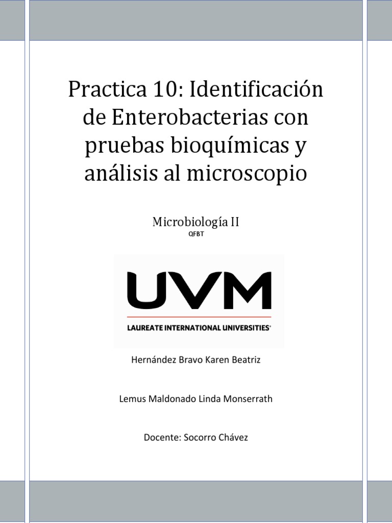 Identificación de Enterobacterias | PDF | Microbiología | Química