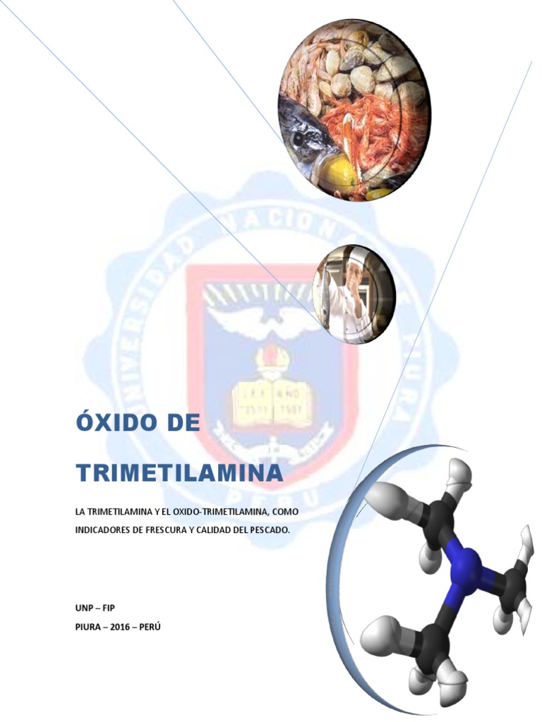 Oxido de Trimetilamina Grupo 1