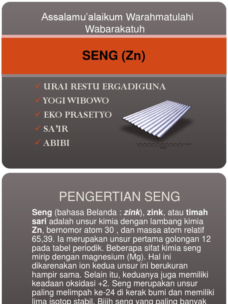 SENG (ZN) | PDF