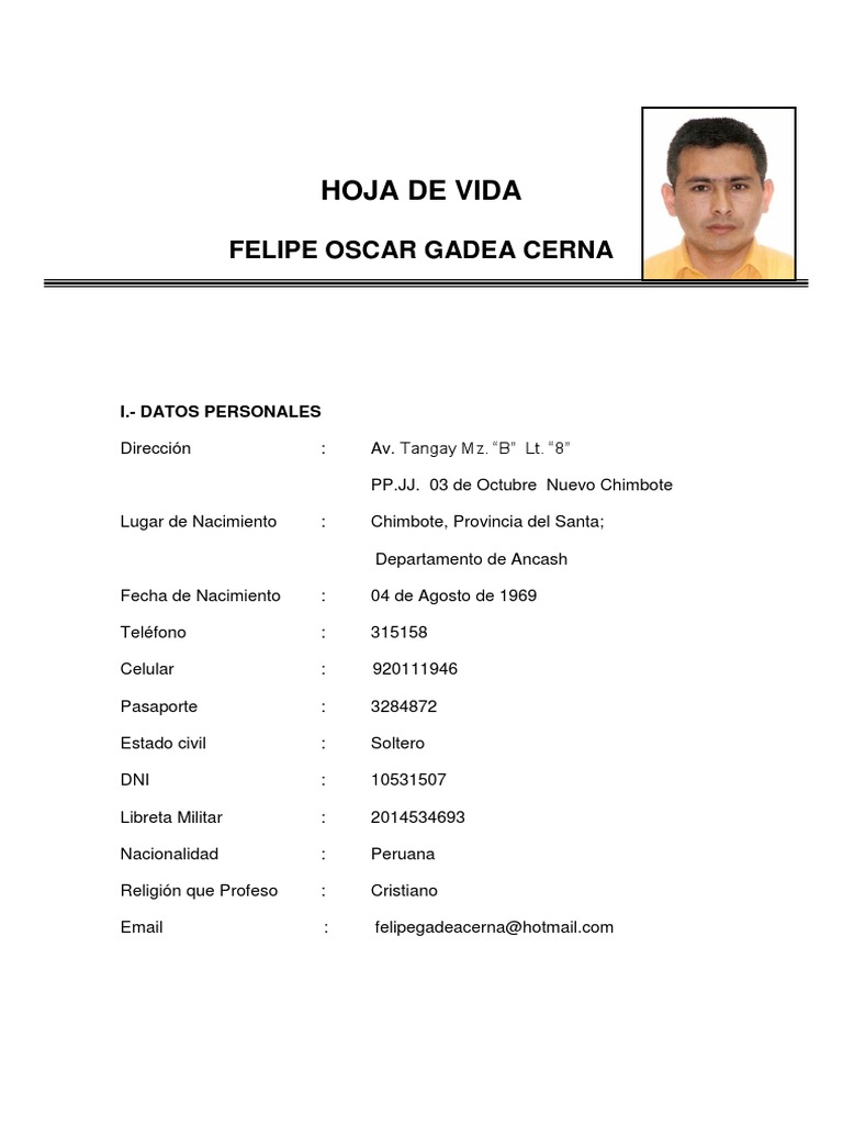 Hoja de Vida de Felipe Oscar Gadea Cerna | PDF | Lima | Perú