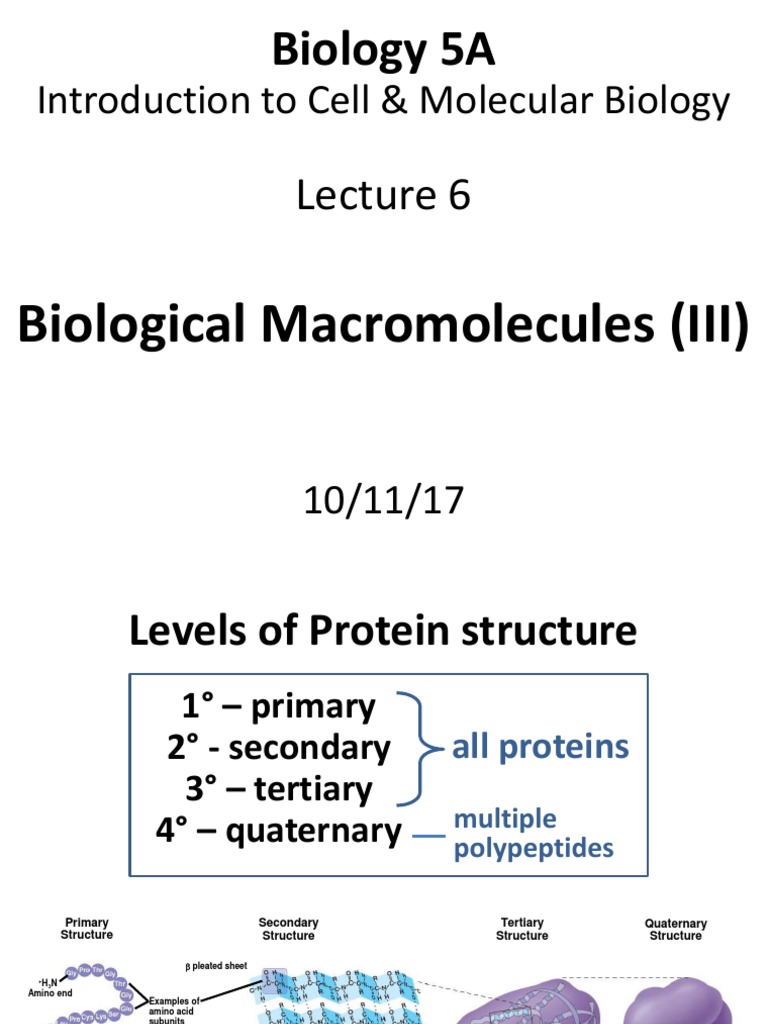 Introduction To Cell & Molecular Biology: Biological Macromolecules ...