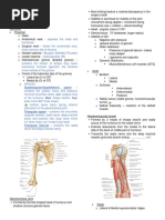Triangularinterval Wikipedia 1745132625808 | PDF | Limbs (Anatomy ...