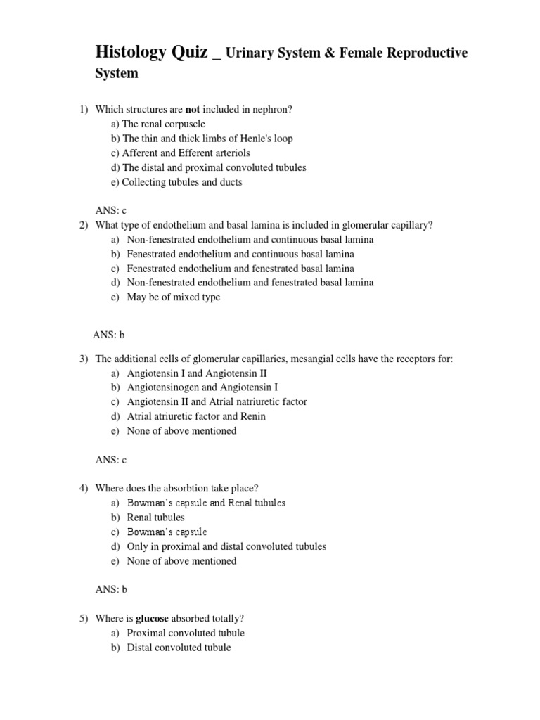 Urinary & Female Reproductive Histology Quiz | PDF | Kidney | Organ ...