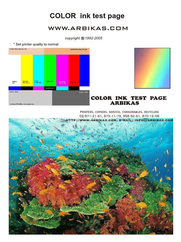 Color Ink Test New RIBI PDF | PDF