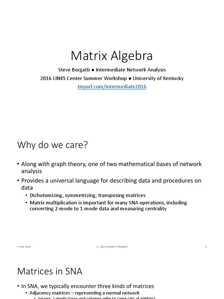 Matrix Algebra | PDF | Matrix (Mathematics) | Functional Analysis