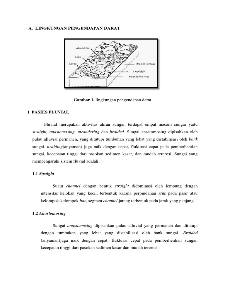 Tugas 2 Macam-Macam Fasies | PDF