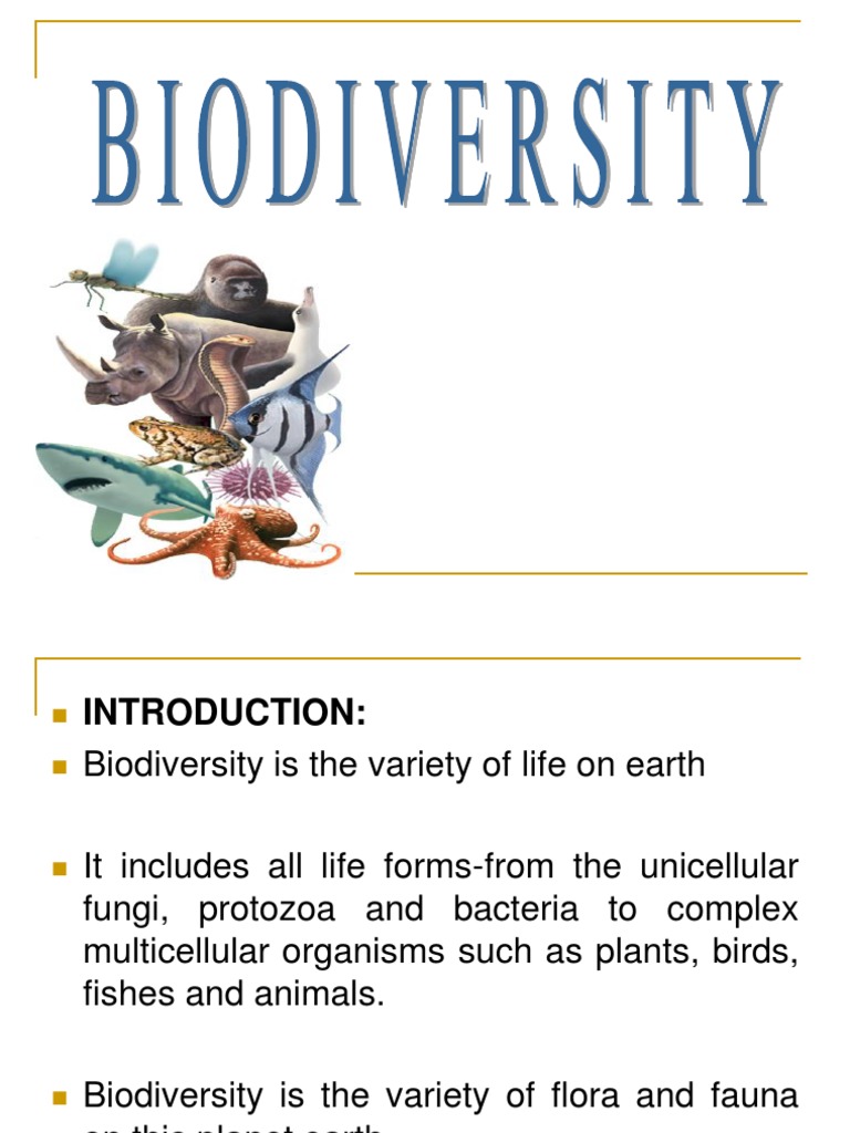 Biodiversity CHAPTER 3 | PDF | Biodiversity | Ecology