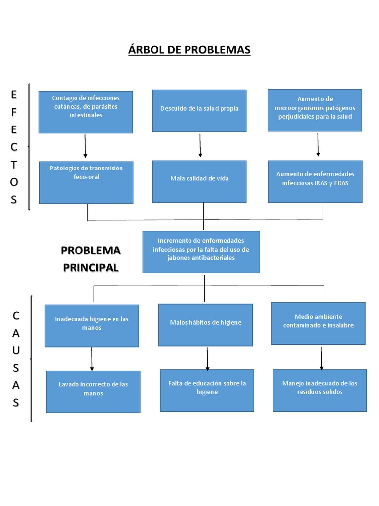 Árbol De Problemas Y Objetivos Infección Salud Pública
