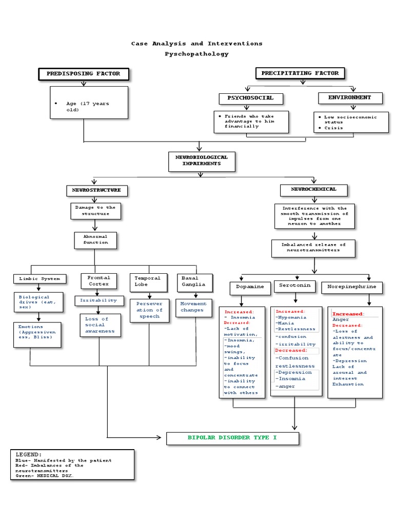Case Analysis and Interventions Pyschopathology: Predisposing Factor ...