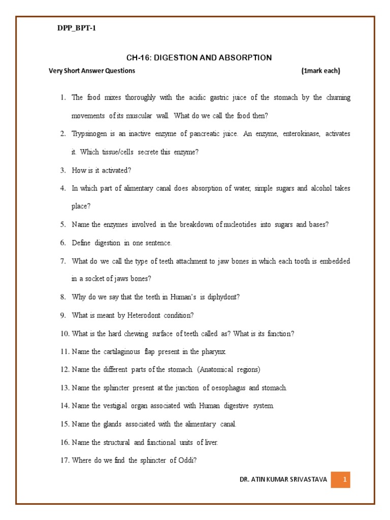 DPP - BPT-1: Very Short Answer Questions (1mark Each) | PDF