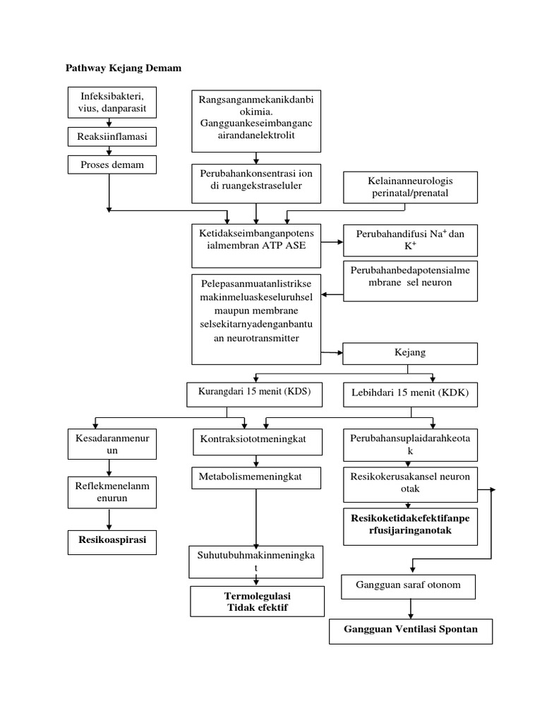 Pathway Kejang Demam | PDF