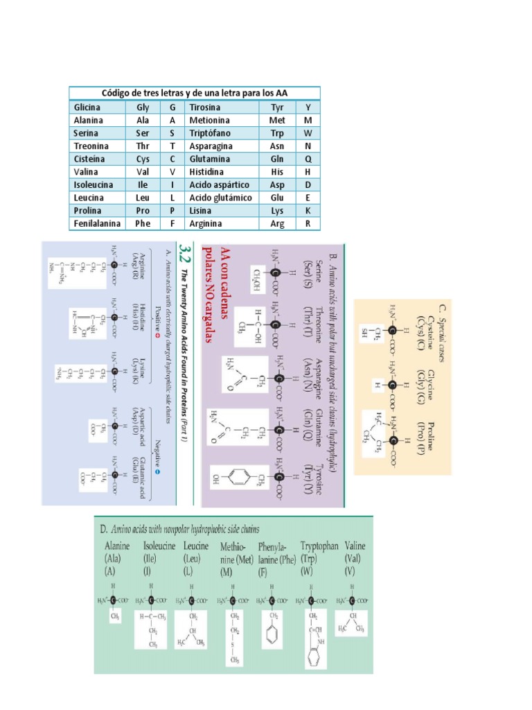 Código de Tres Letras y de Una Letra Para Los AA