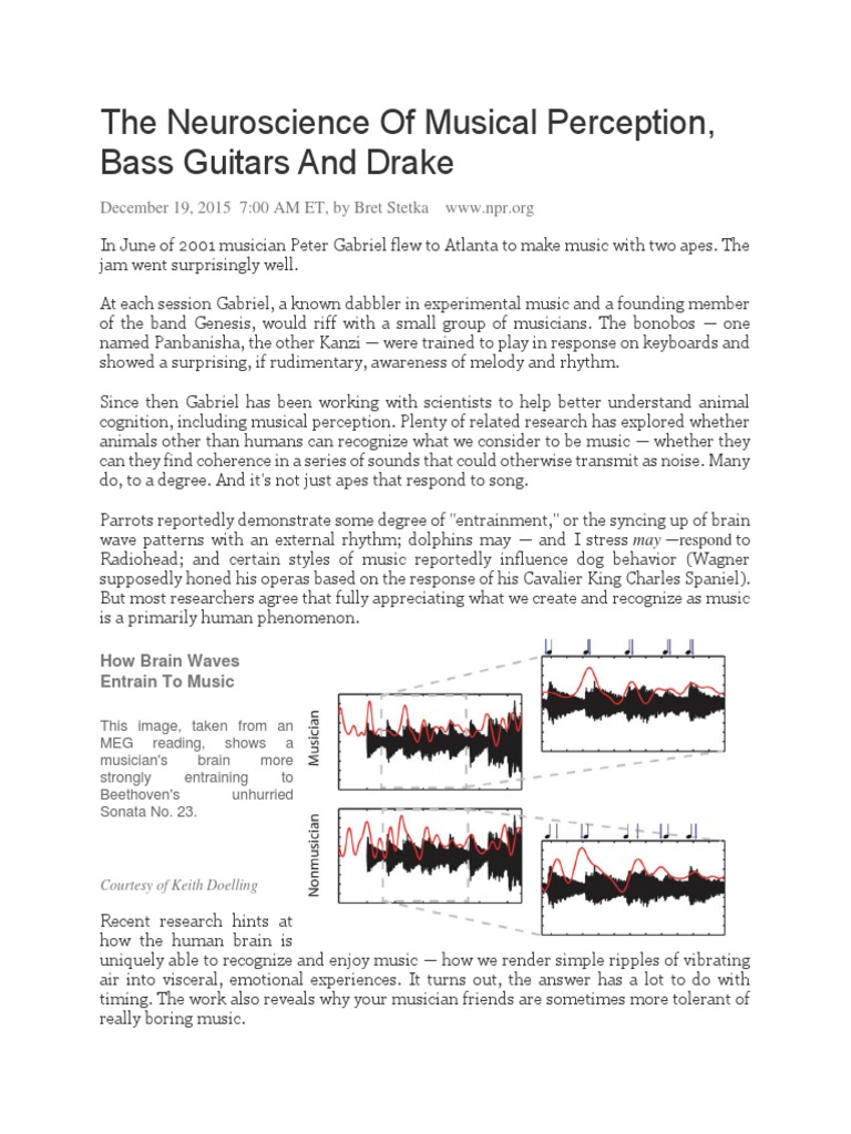 Neuroscience of Music Perception Insights | PDF | Perception ...