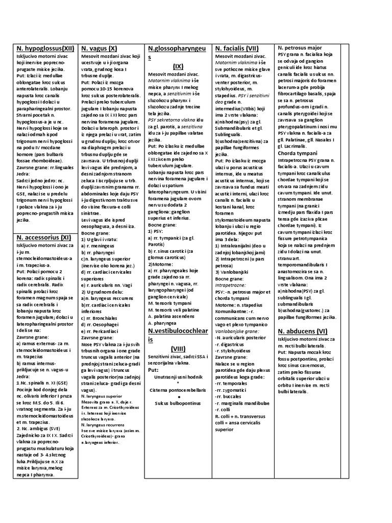 Kranijalni Zivci | PDF