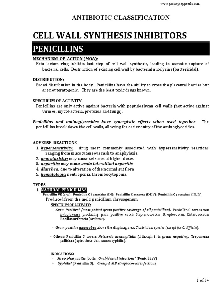 Pance Prep Pearls Antibiotics.pdf | Penicillin | Antibiotics