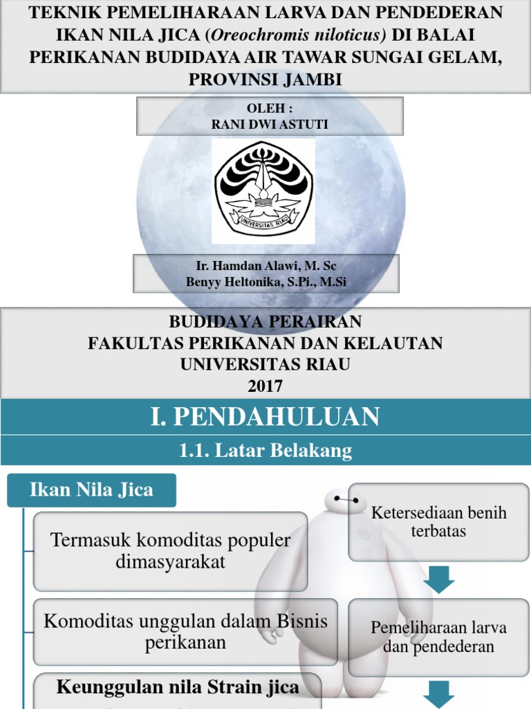 Teknik Budidaya Ikan Nila Jica | PDF