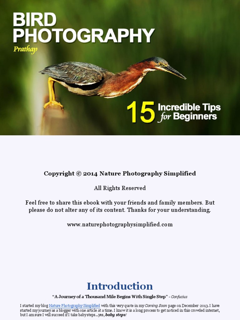 15 Incredible Bird Photography Tips | PDF | Image Stabilization ...