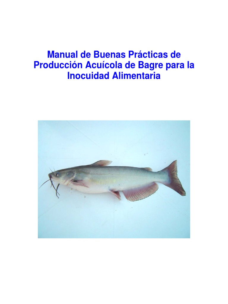 Manual De Buenas Practicas De Produccion Acuicola De Bagre