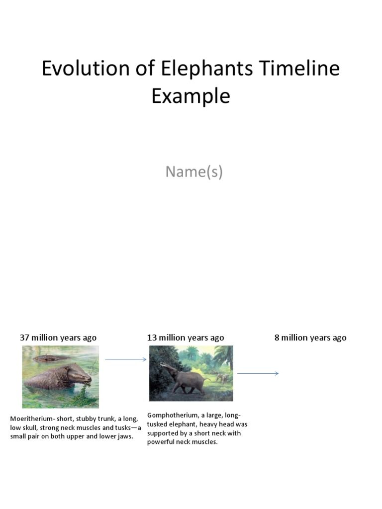 Evolution of Elephants Timeline | PDF