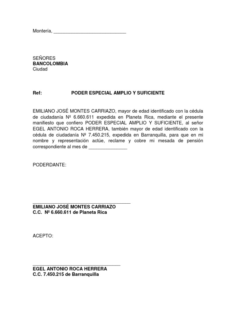 Poder Amplio y Suficiente | PDF