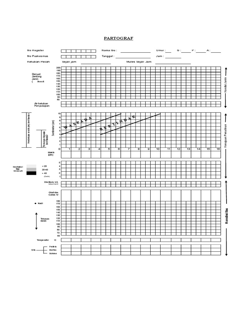 Partograf Kosong | PDF