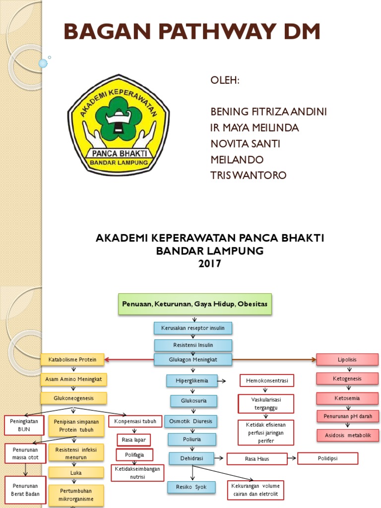 Bagan Pathway DM | PDF