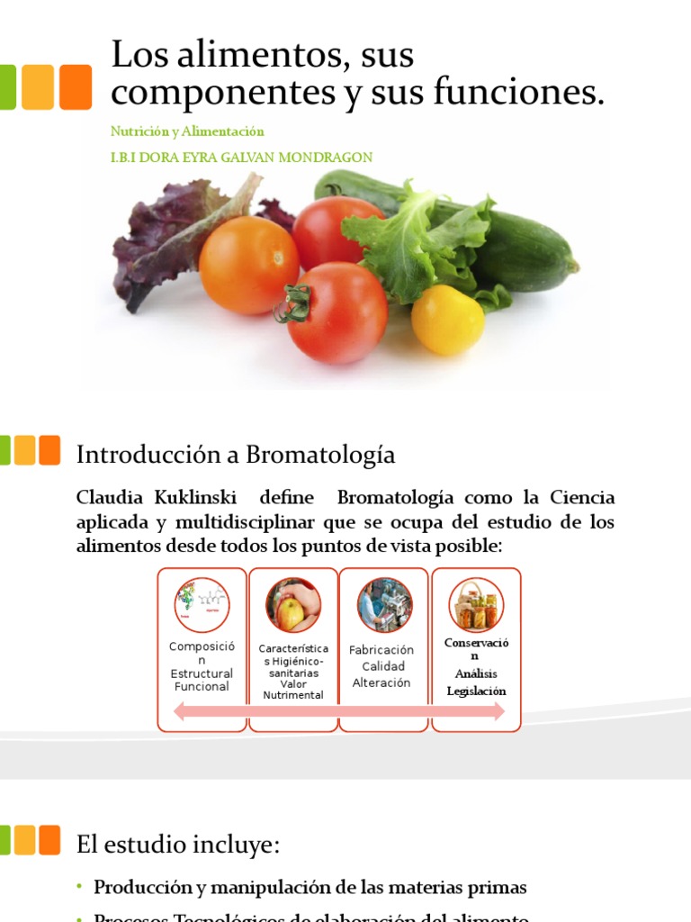 Los Alimentos, Sus Componentes y Sus Funciones | PDF | Nutrientes ...