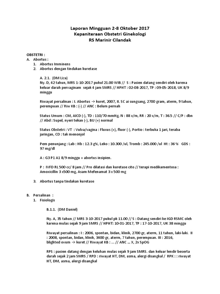 Contoh Format Weekly Report | PDF