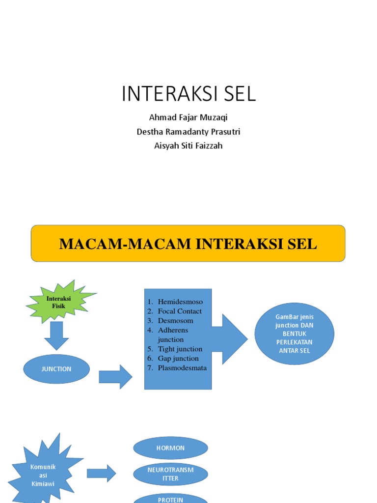 Interaksi Sel | PDF