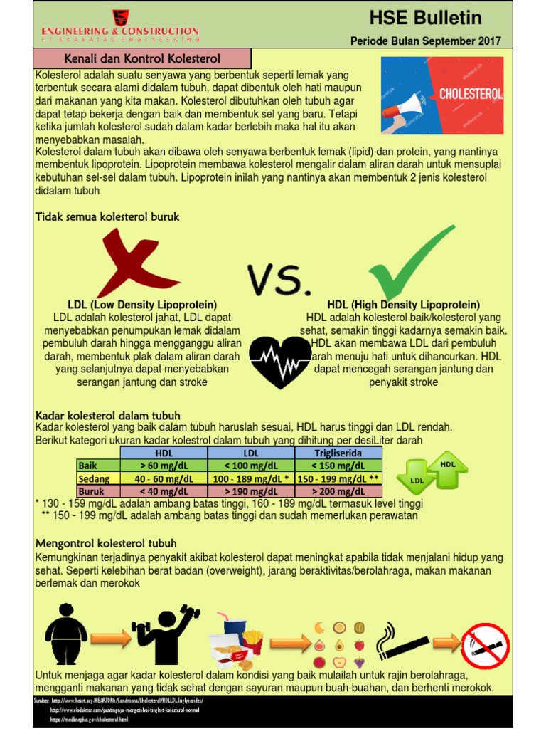 HSE Bulletin September | PDF