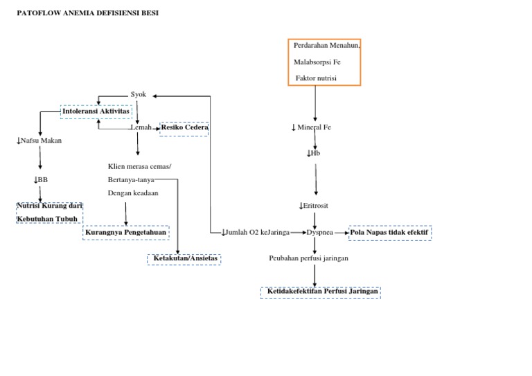 Patoflow Anemia Defisiensi Besi | PDF