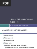 Kristal Amorf dalam Urin dan Penyebabnya | PDF