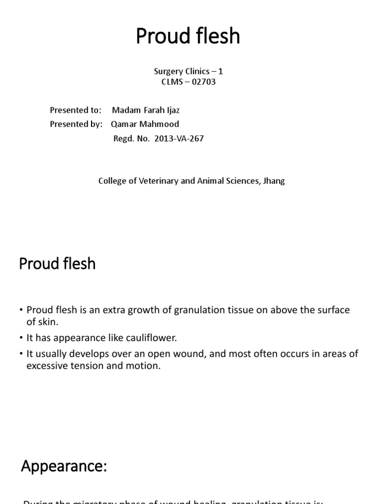 Proud Flesh: Surgery Clinics - 1 CLMS - 02703 | PDF