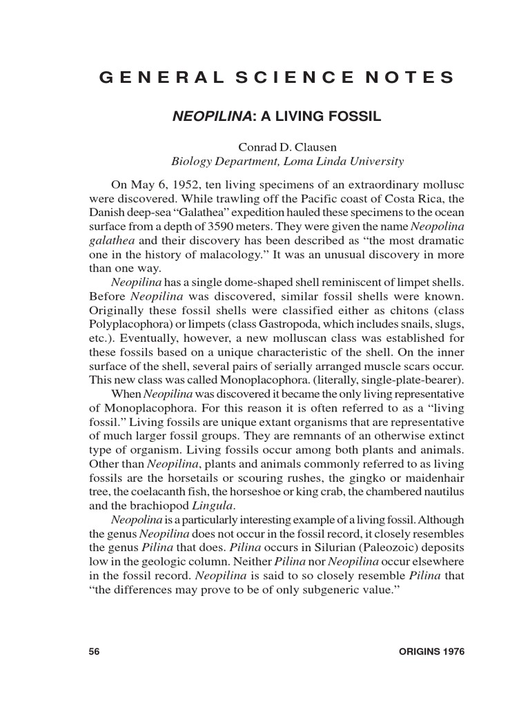 Neoplina Fosil Viviente | Download Free PDF | Mollusca | Deep Sea