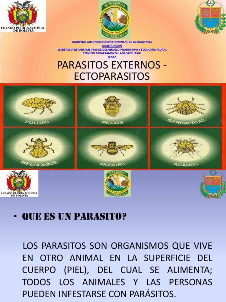 Ectoparásitos en Rumiantes: Control y Síntomas | PDF