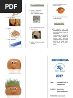 Proyecto-Señor Cabeza de Pasto | PDF