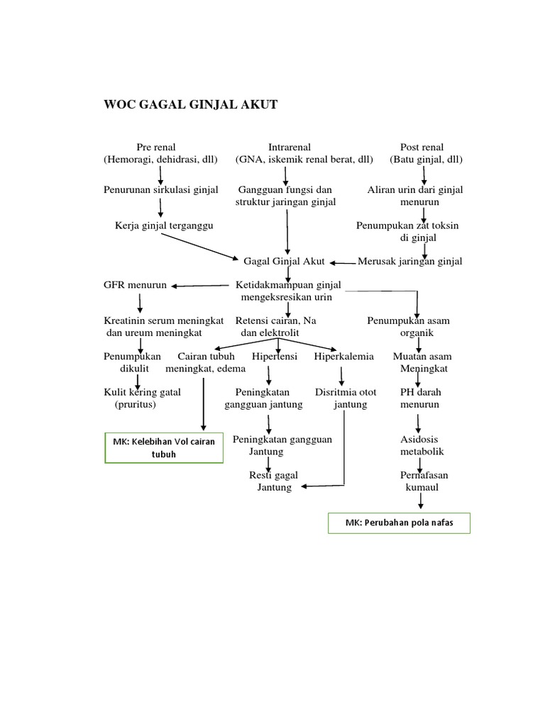 Woc Gagal Ginjal Akut | PDF