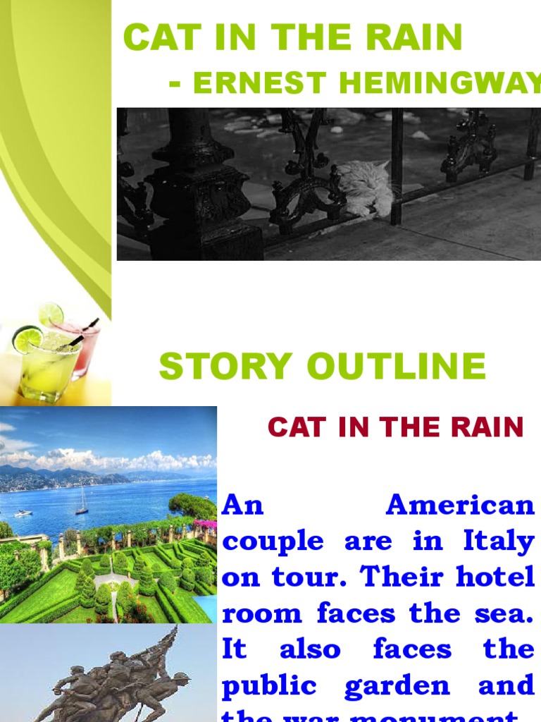 Cat in The Rain Story Outline | PDF