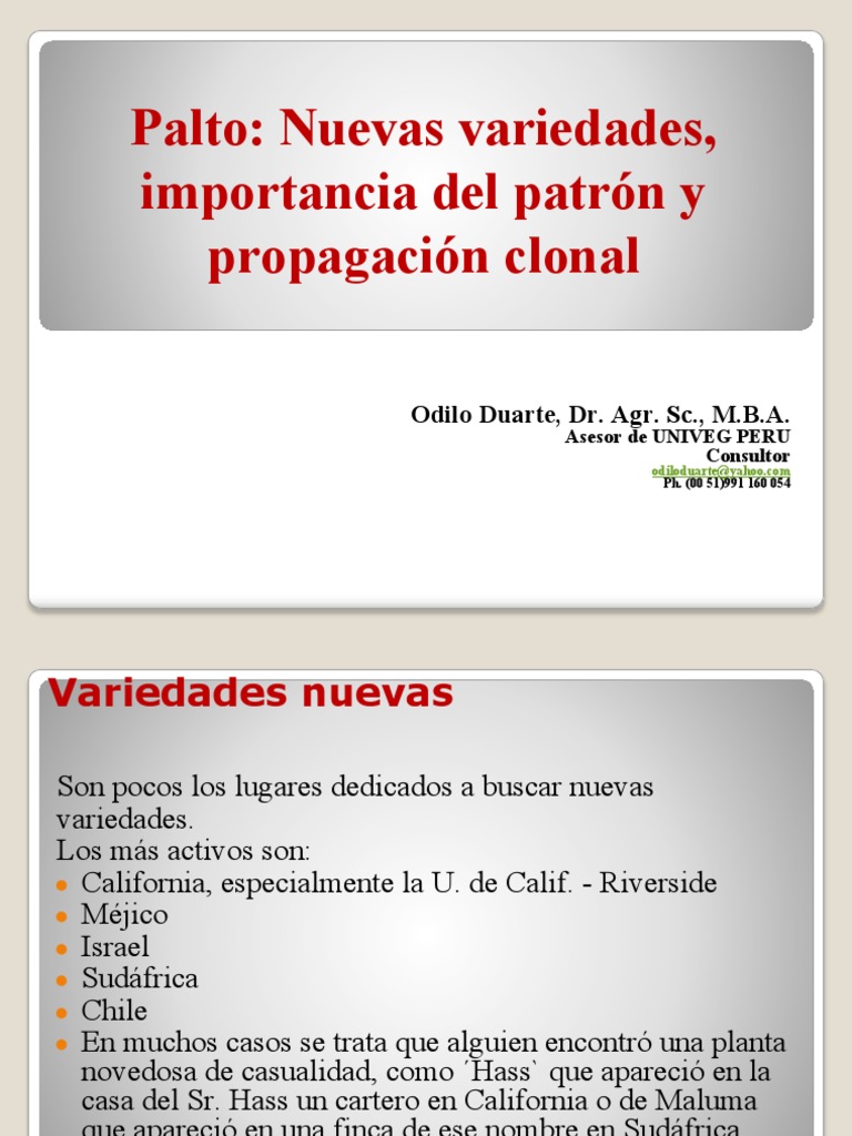 Nuevas Variedades Importancia-Patron-Propagacion Clonal Palto | PDF | Injerto | Aguacate