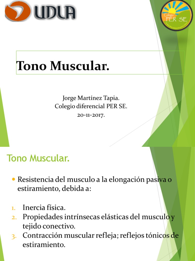 Tono Muscular PDF | PDF | Músculo | Anatomia animal