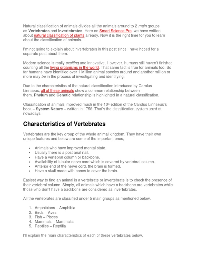 Characteristics of Vertebrates | PDF