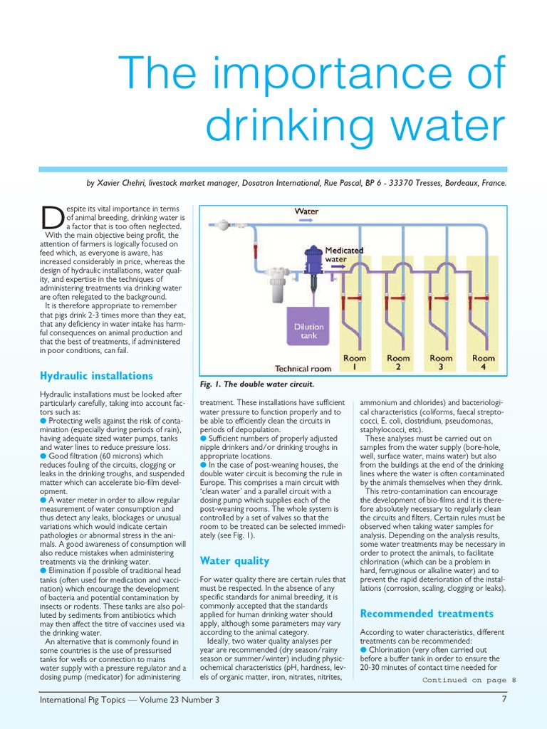 The Importance of Drinking Water | PDF | Drinking Water | Dose ...