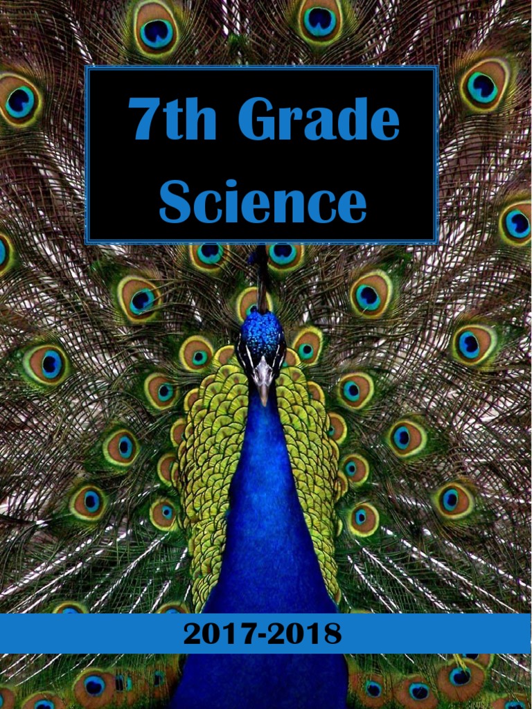 7th Grade Science | PDF | Rock (Geology) | Electric Charge