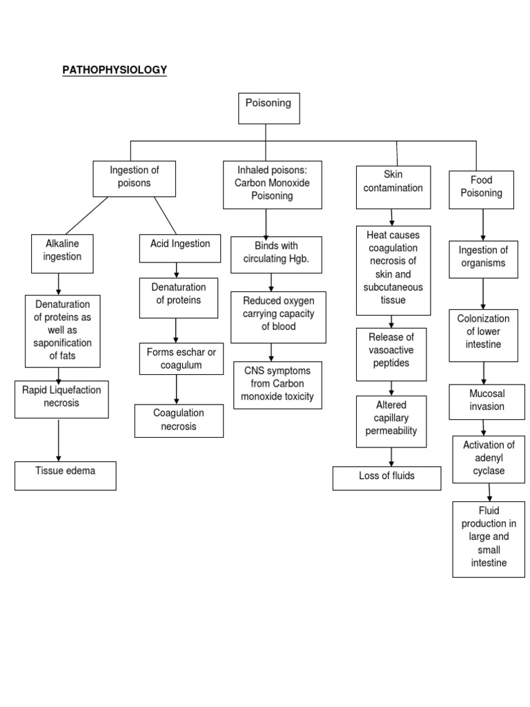 Pathophysiology of Poisoning | Poison | Medicine