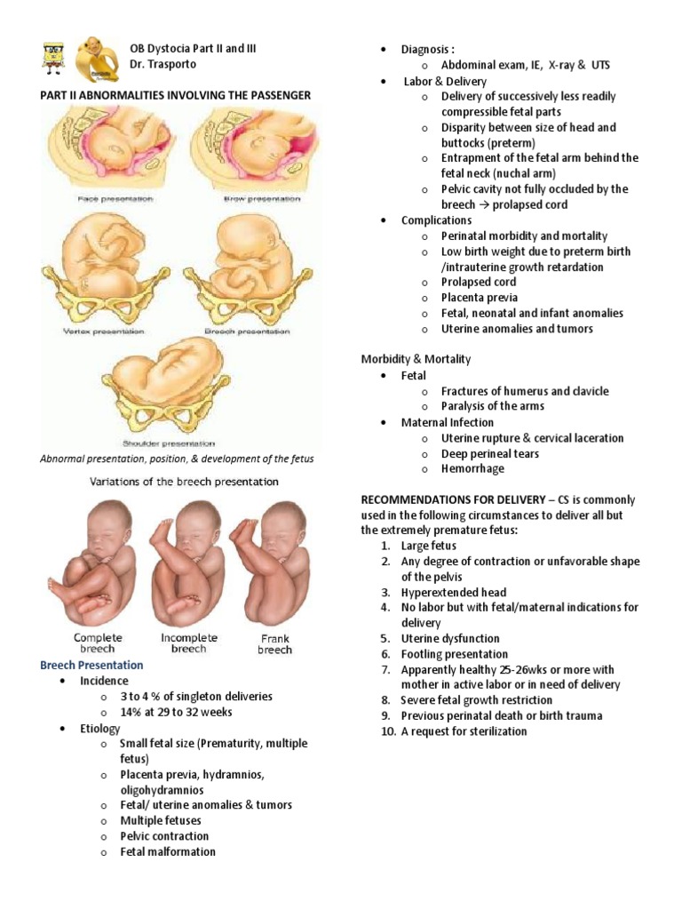 OB Dystocia Part II and III | PDF | Pelvis | Childbirth