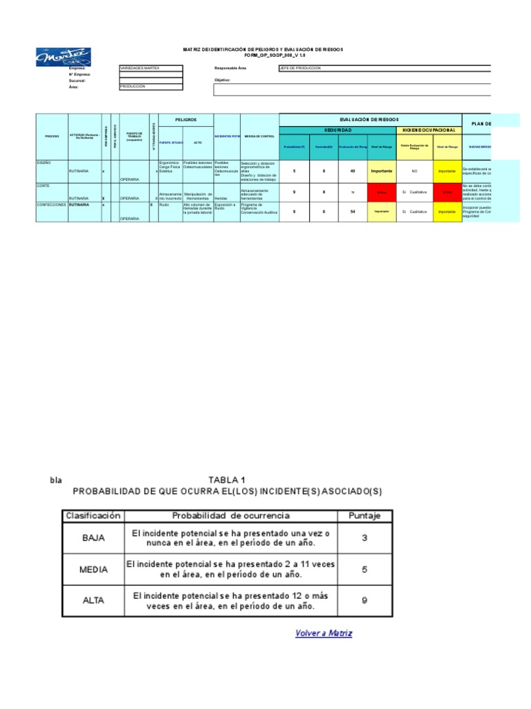 formato matriz iper (1).xls | Factores humanos y ergonomía | Física